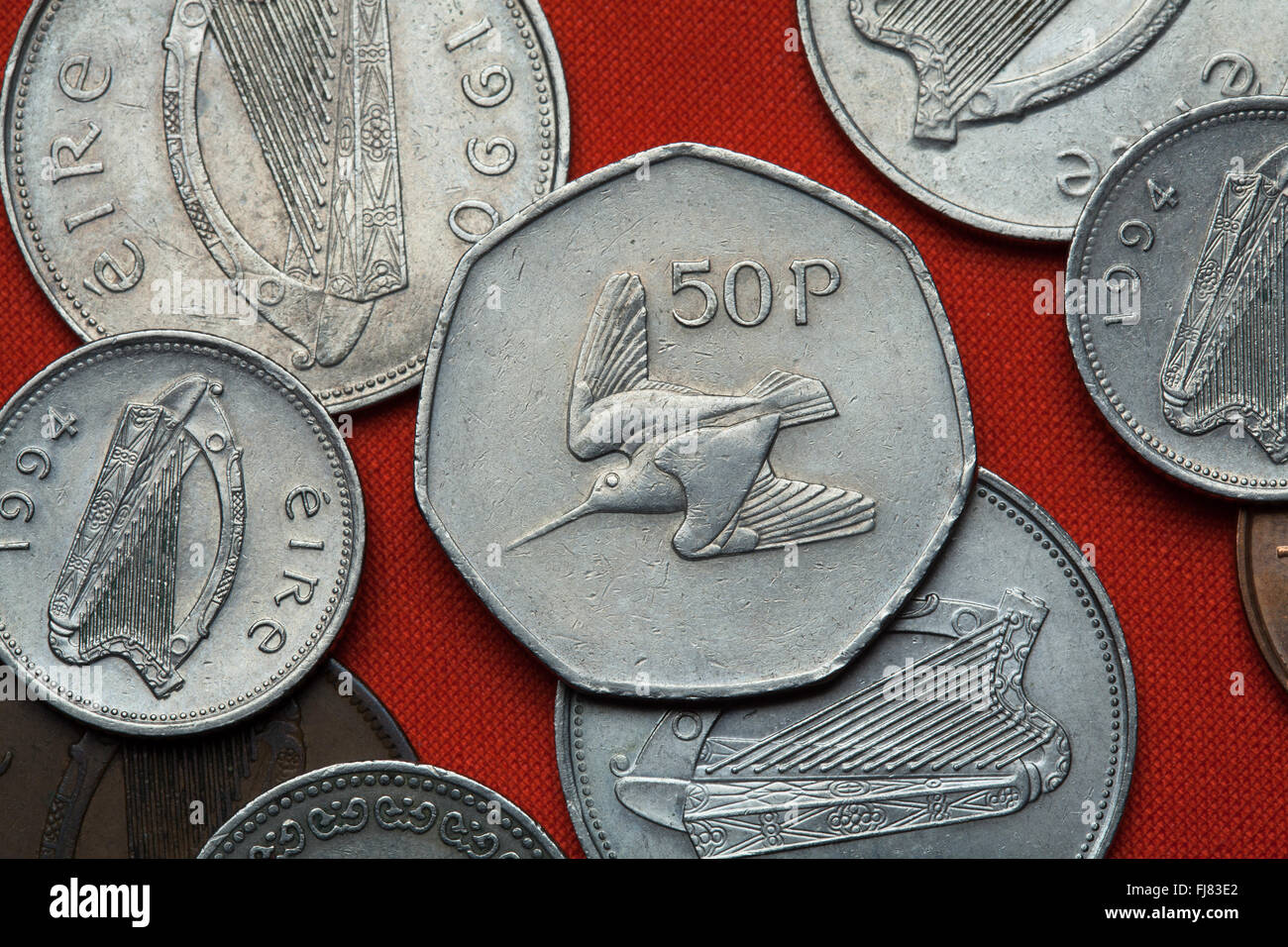 Coins of Ireland. Woodcock depicted in the Irish 50 pence coin Stock ...