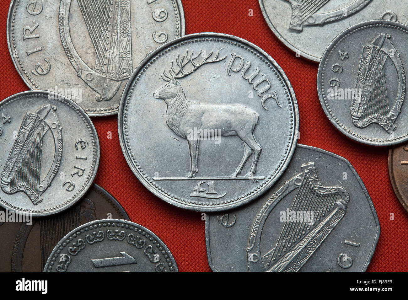 Coins of Ireland. Red deer (Cervus elaphus) depicted in the Irish one ...