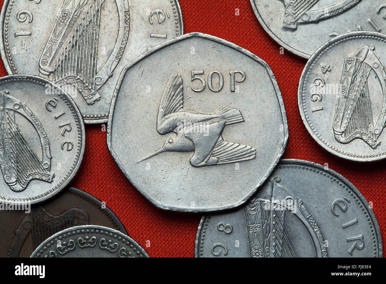 Coins of Ireland. Woodcock depicted in the Irish 50 pence coin Stock ...