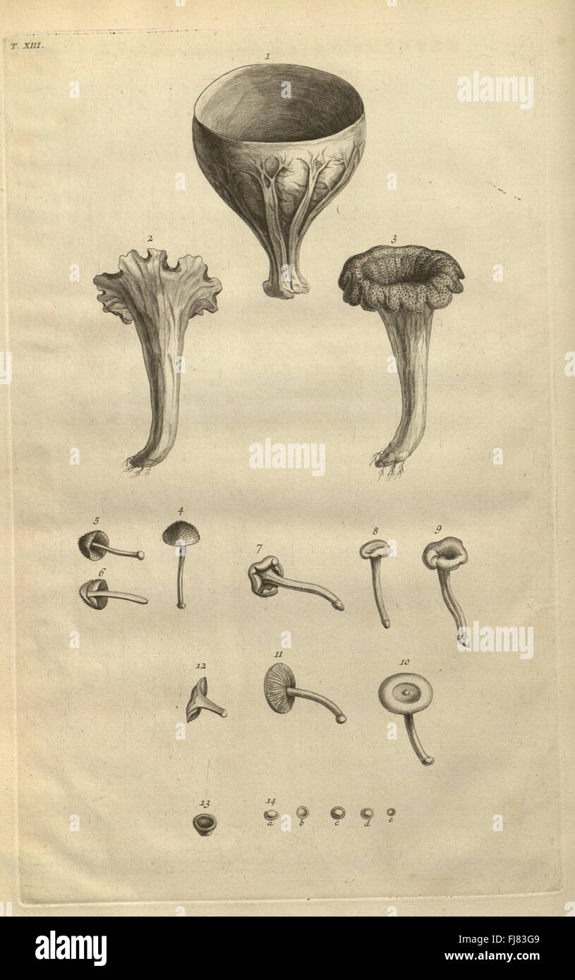 A botanical catalog listing and illustrating plants found around Paris ...
