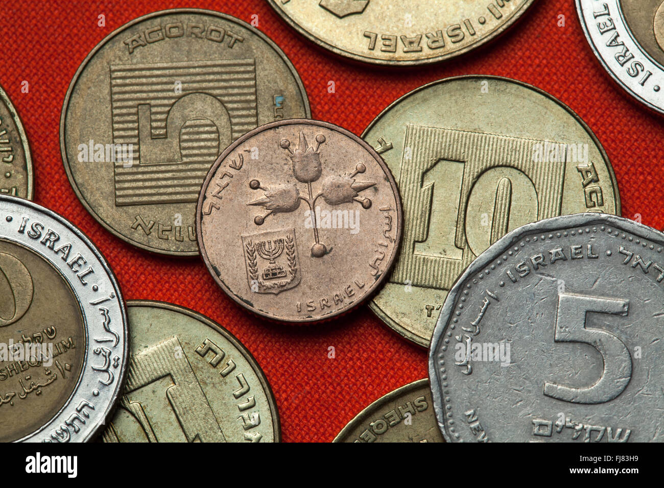 Coins of Israel. Three pomegranates depicted in the Israeli 10 new ...