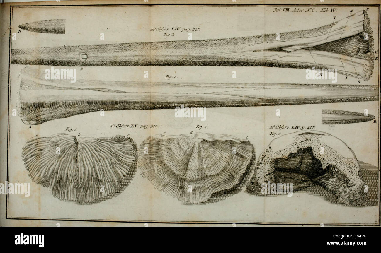 A scientific journal from 1748 detailing studies in physics and ...