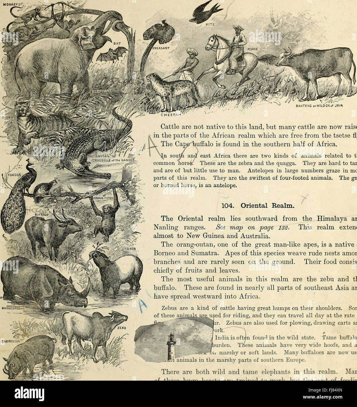 A comprehensive geography book from 1899, providing advanced insights ...