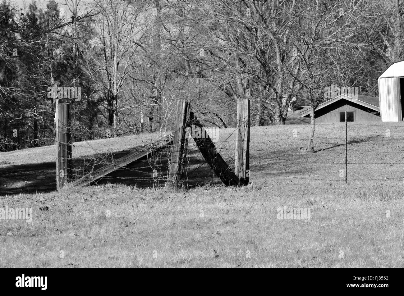 Fenced field hi-res stock photography and images - Alamy