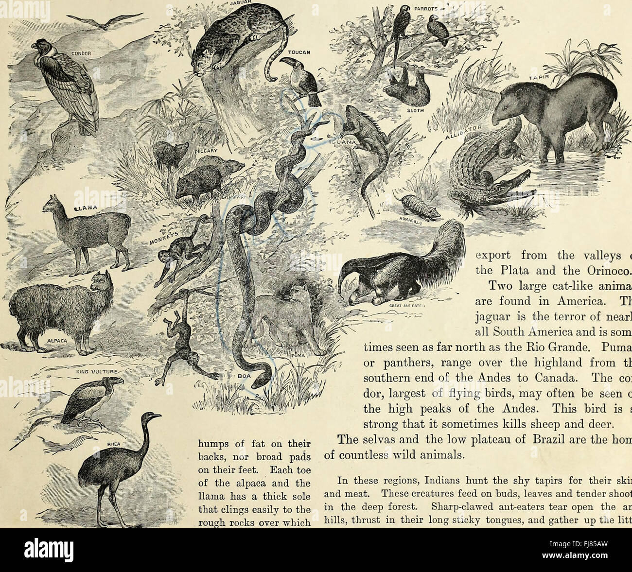 An educational text on advanced geography from 1899, focusing on ...