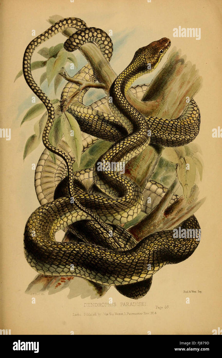 A study documenting the natural history of Labuan and the adjacent ...