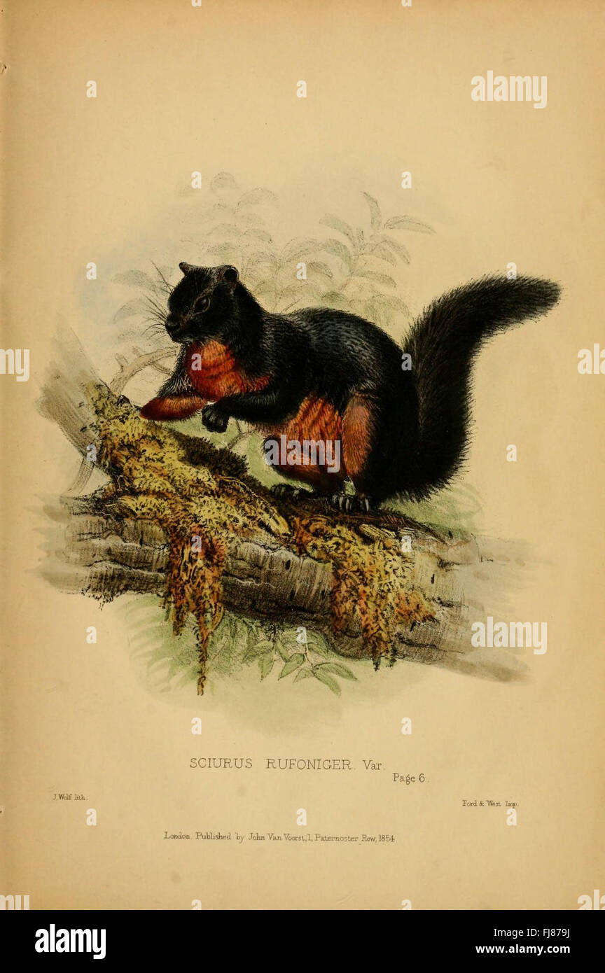 A comprehensive study of the natural history of Labuan and Borneo’s ...