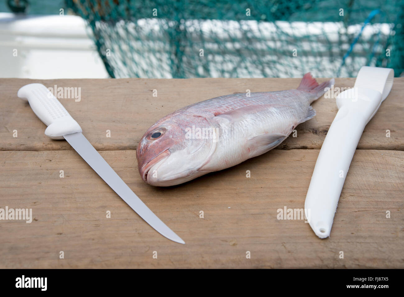Snapper and Knife. Fish being filleted Stock Photo - Alamy