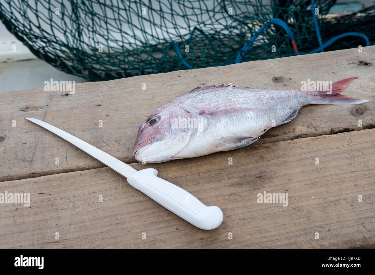 Snapper and Knife. Fish being filleted Stock Photo - Alamy