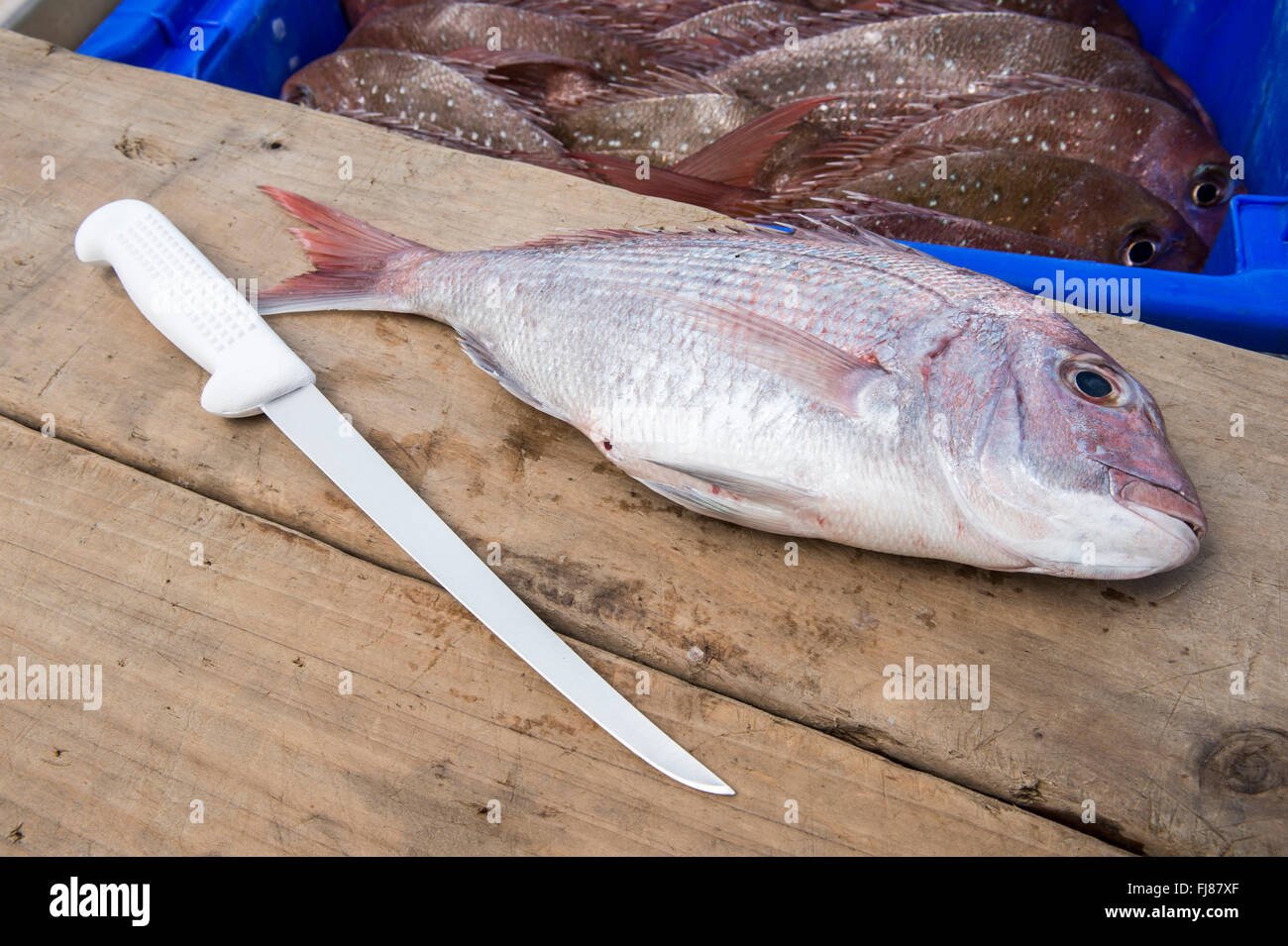 Snapper and Knife. Fish being filleted Stock Photo - Alamy
