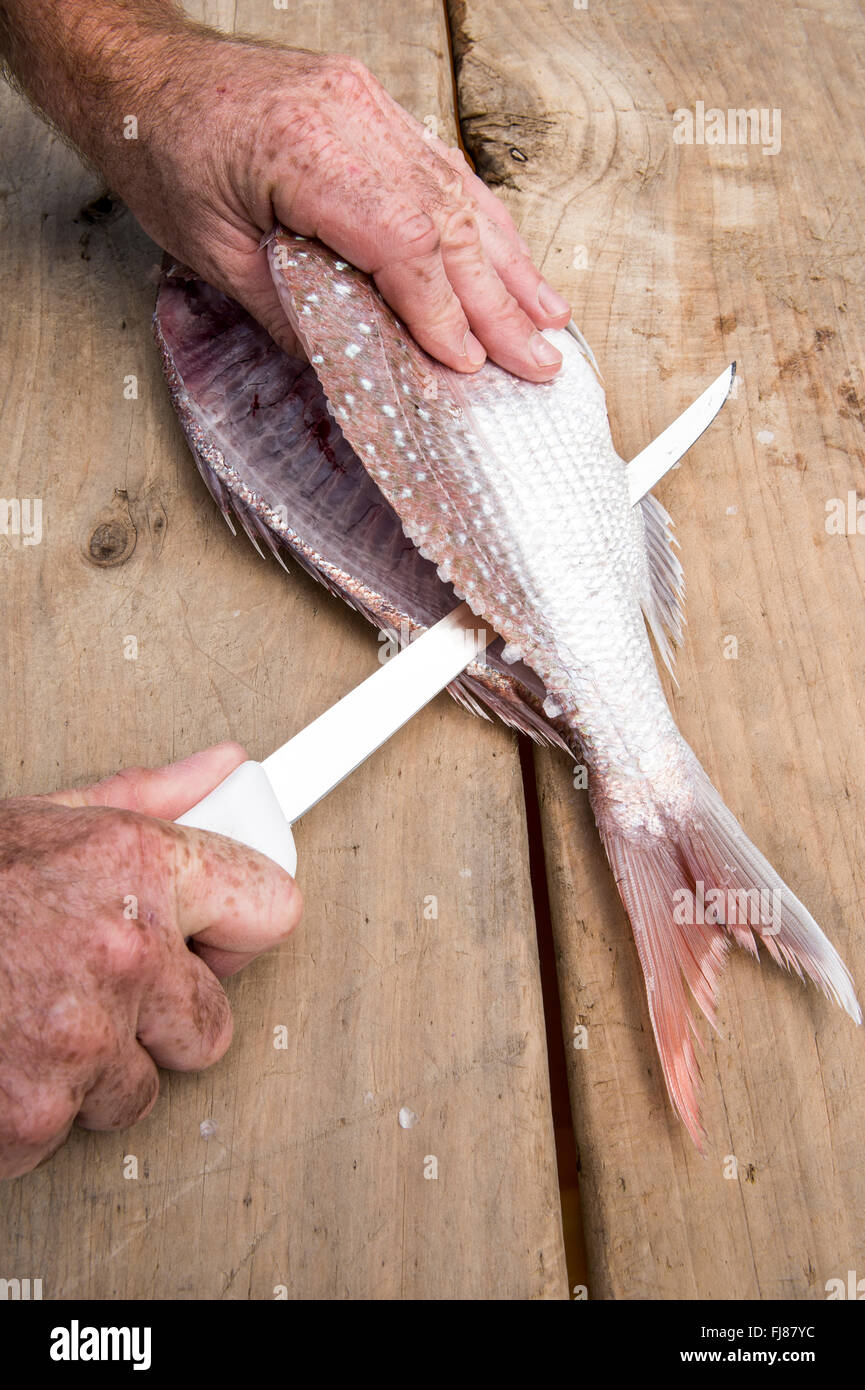 Stainless steel fish knife hi-res stock photography and images - Alamy