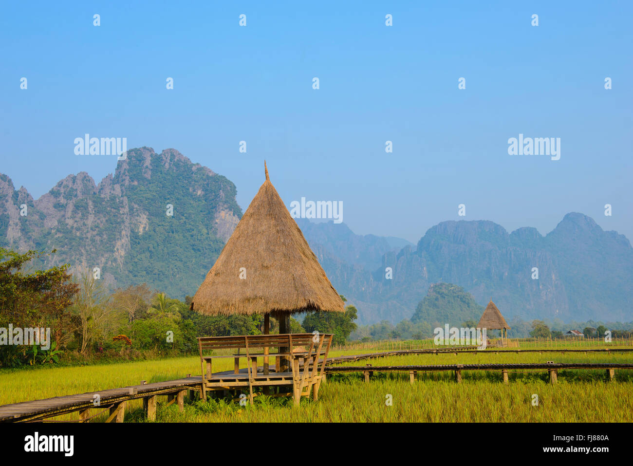 Rice field and straw hut Stock Photo - Alamy