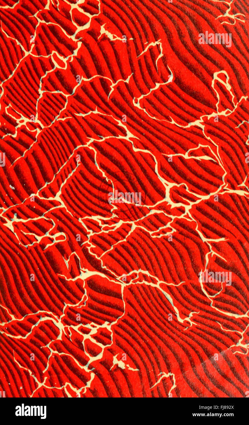 A comprehensive reference work on architecture, carpentry, and ...