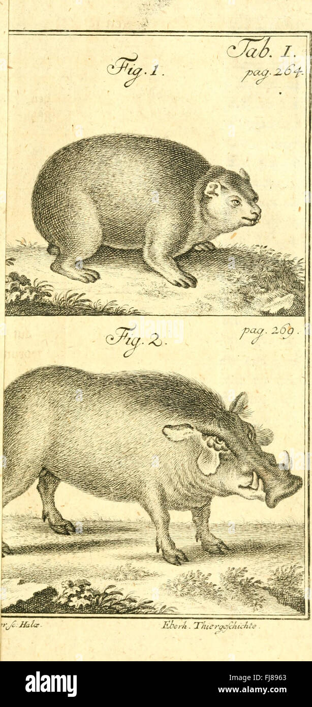 A historical work on animal history and medicine, featuring rare and ...