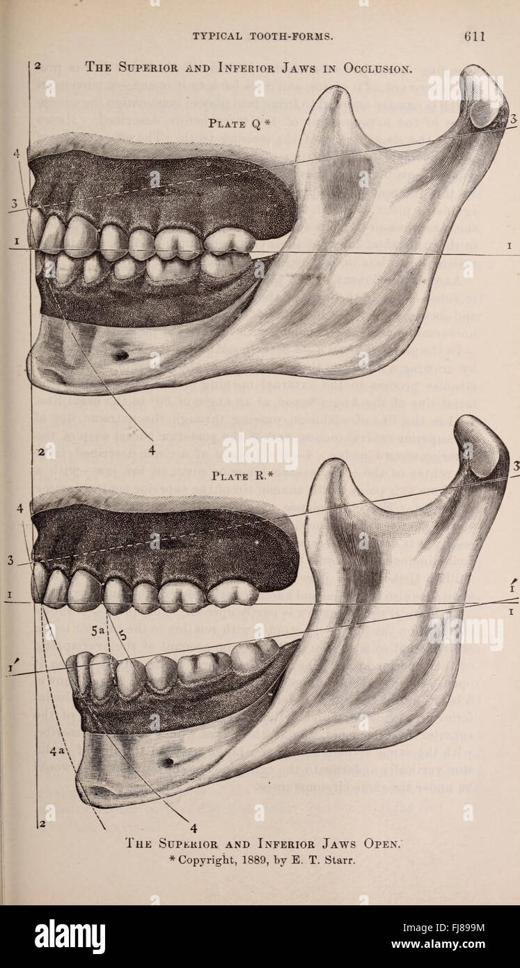 A publication focusing on the science of dentistry, featuring research ...