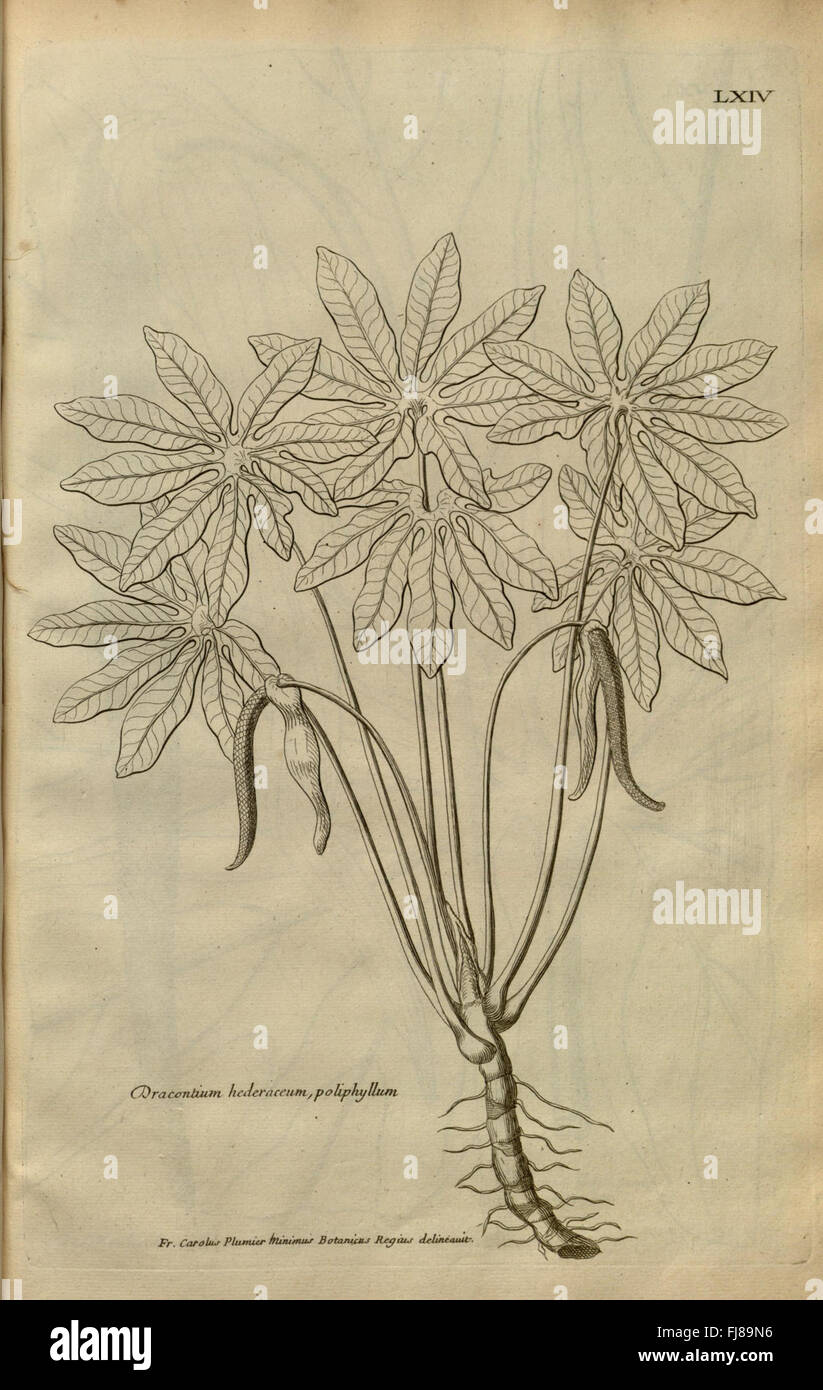 Botany, Missouri Botanical Garden, Peter H. Raven Library, Pictorial ...