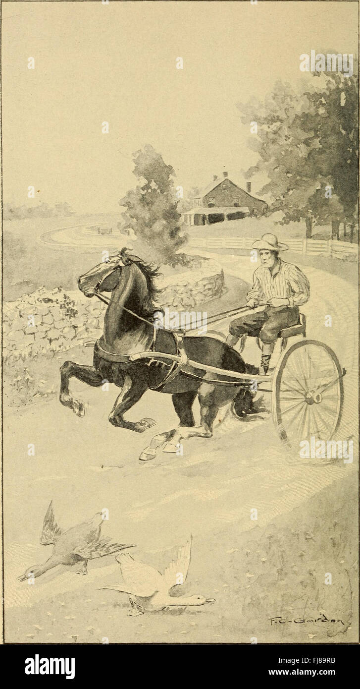 A historical account from 'Among the Farmyard People' (1899), exploring ...