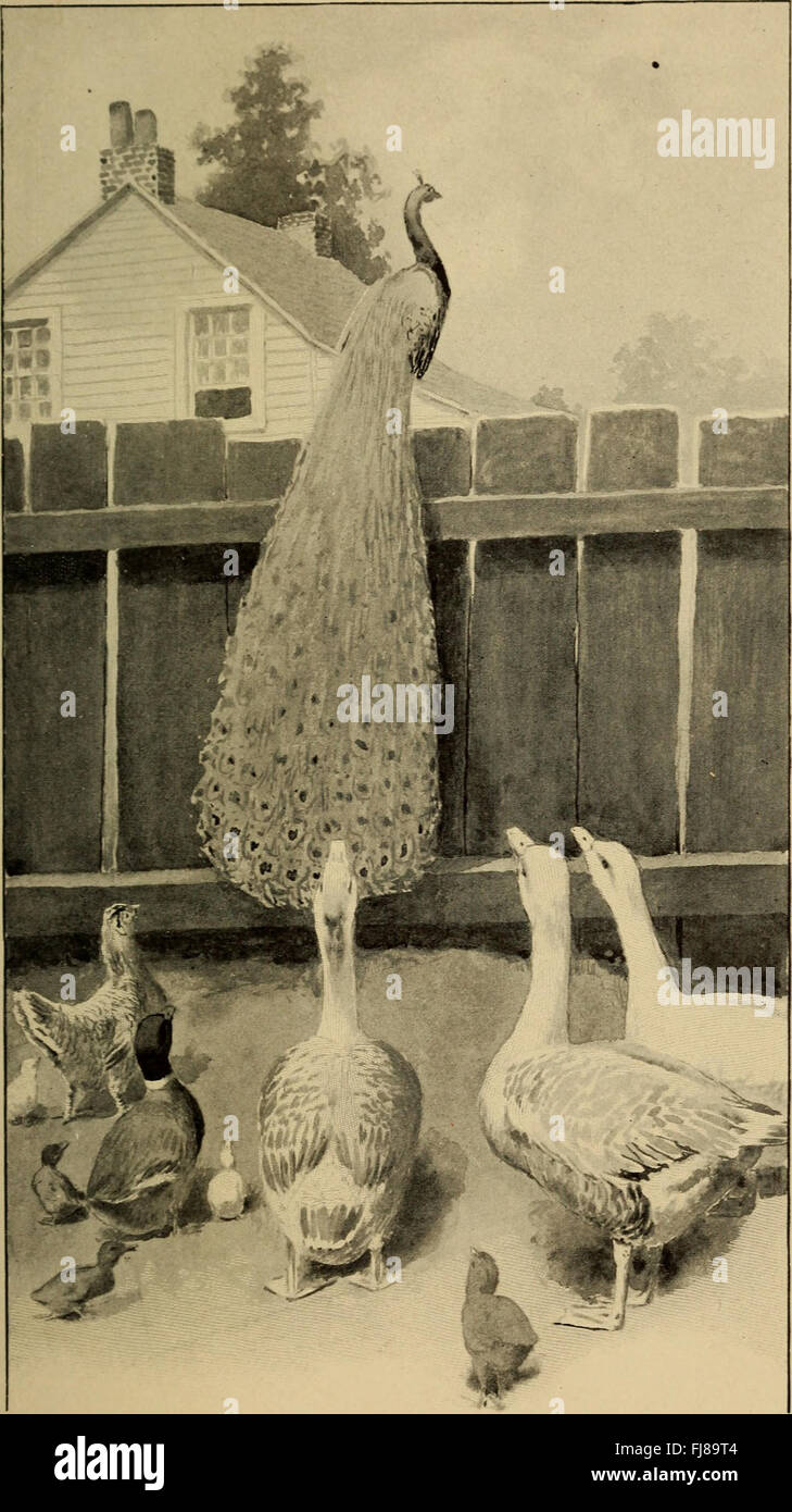 A historical account and observations of farm animals and rural life ...