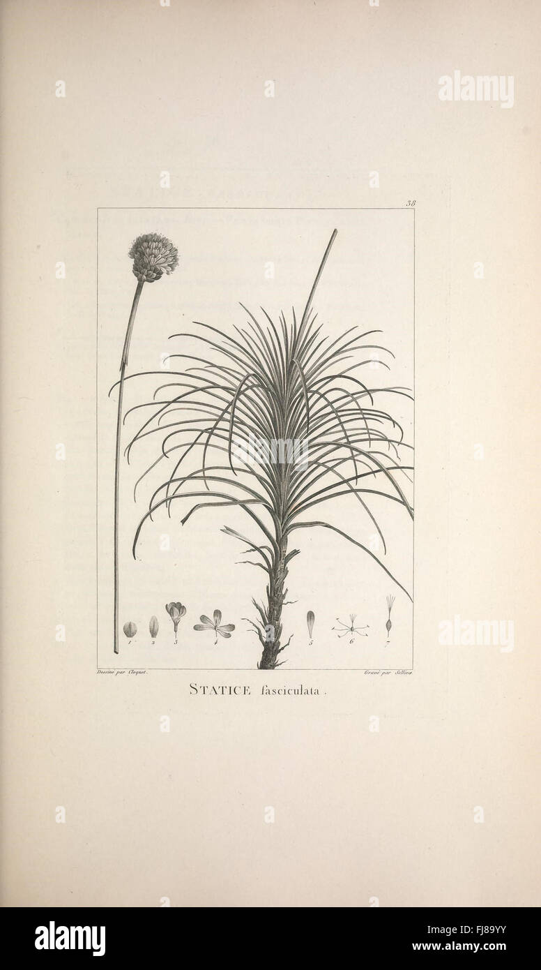 Illustration and description of newly discovered and lesser-known ...