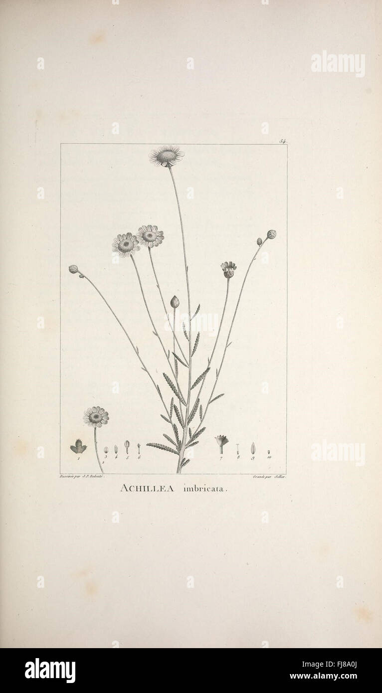 A botanical description of new and lesser-known plant species ...