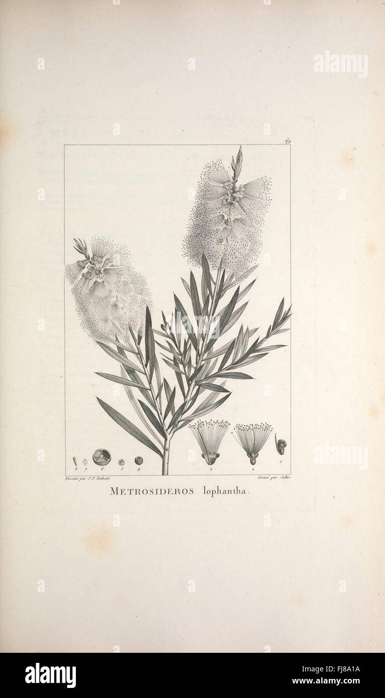 Description of new and little-known plants, Botany, Smithsonian ...