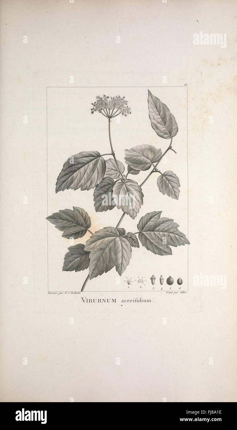 An illustrated description of new and lesser-known plant species ...