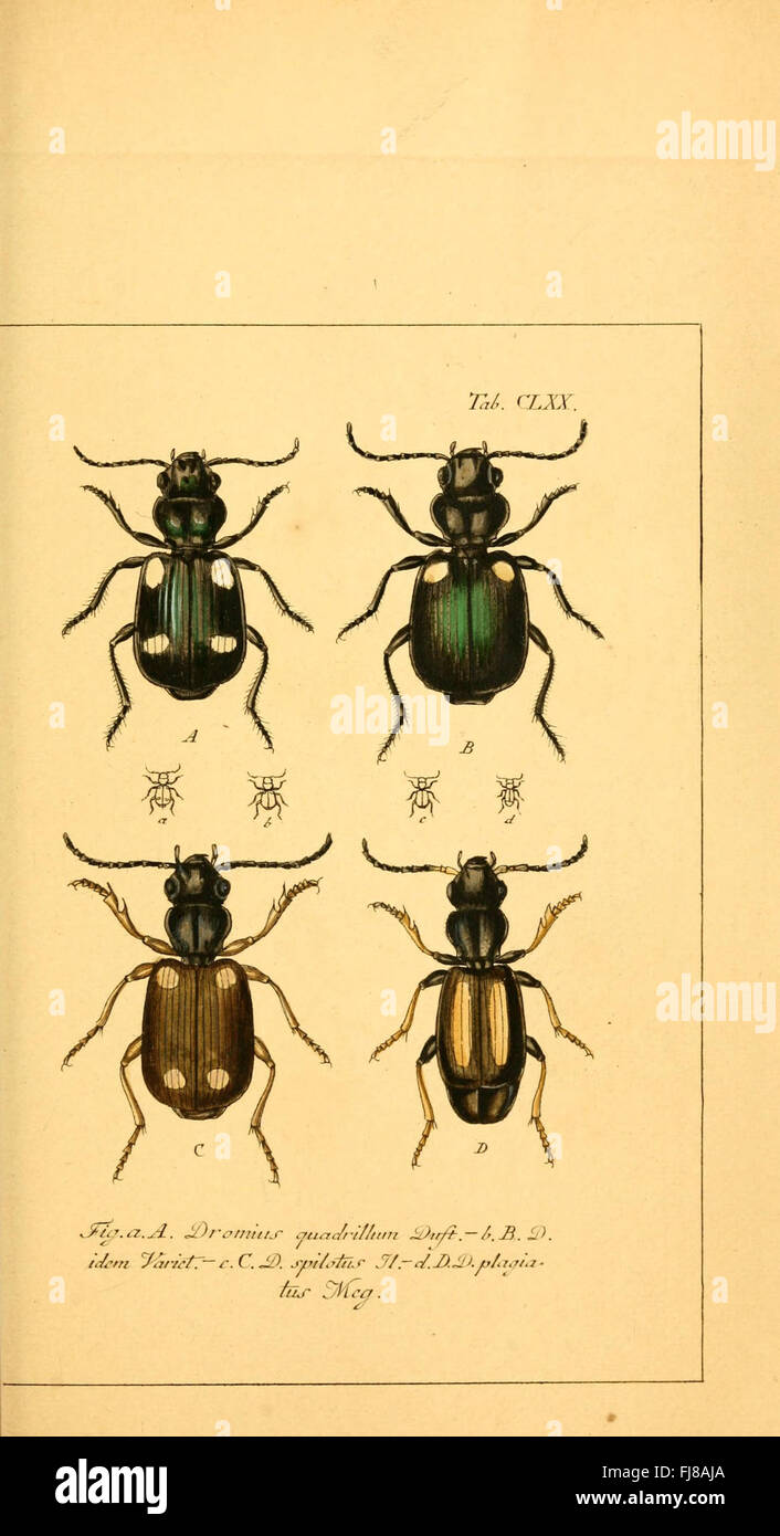 Tab font hi-res stock photography and images - Alamy