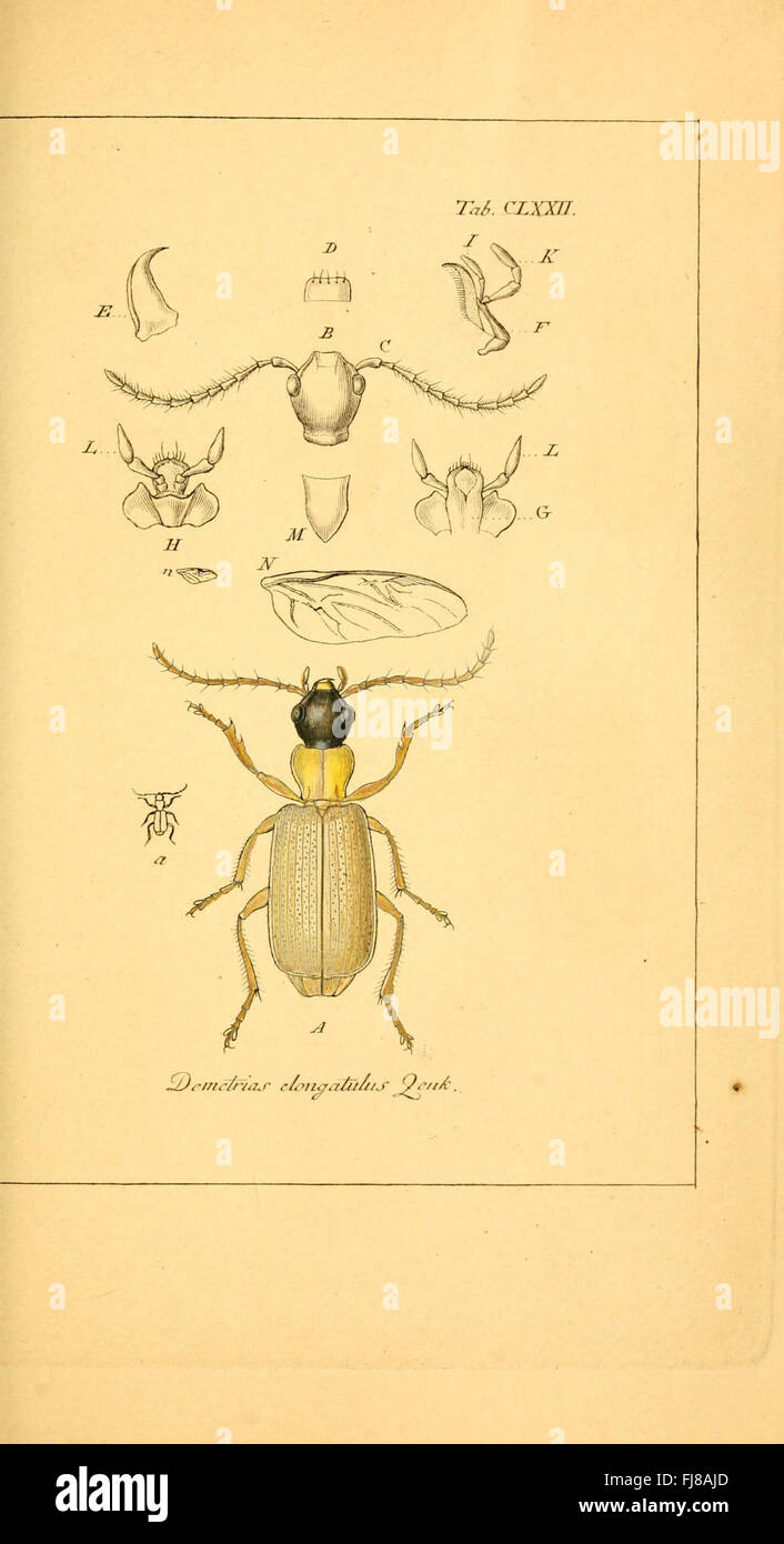 Tab font hi-res stock photography and images - Alamy