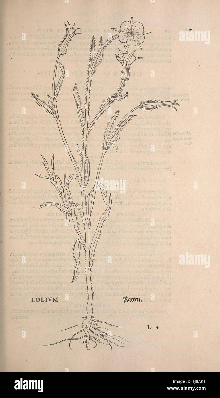 A significant botanical work from the early 1800s, focusing on plant ...