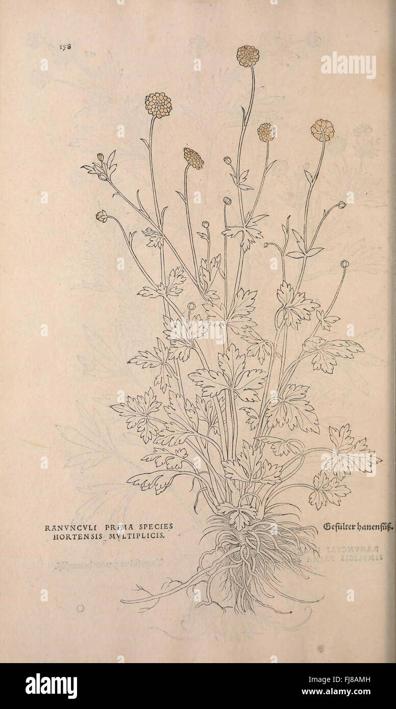 A significant botanical work on the history of plants, specifically ...