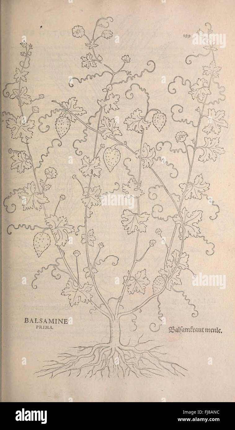 A botanical commentary on the history of plants, including medicinal ...