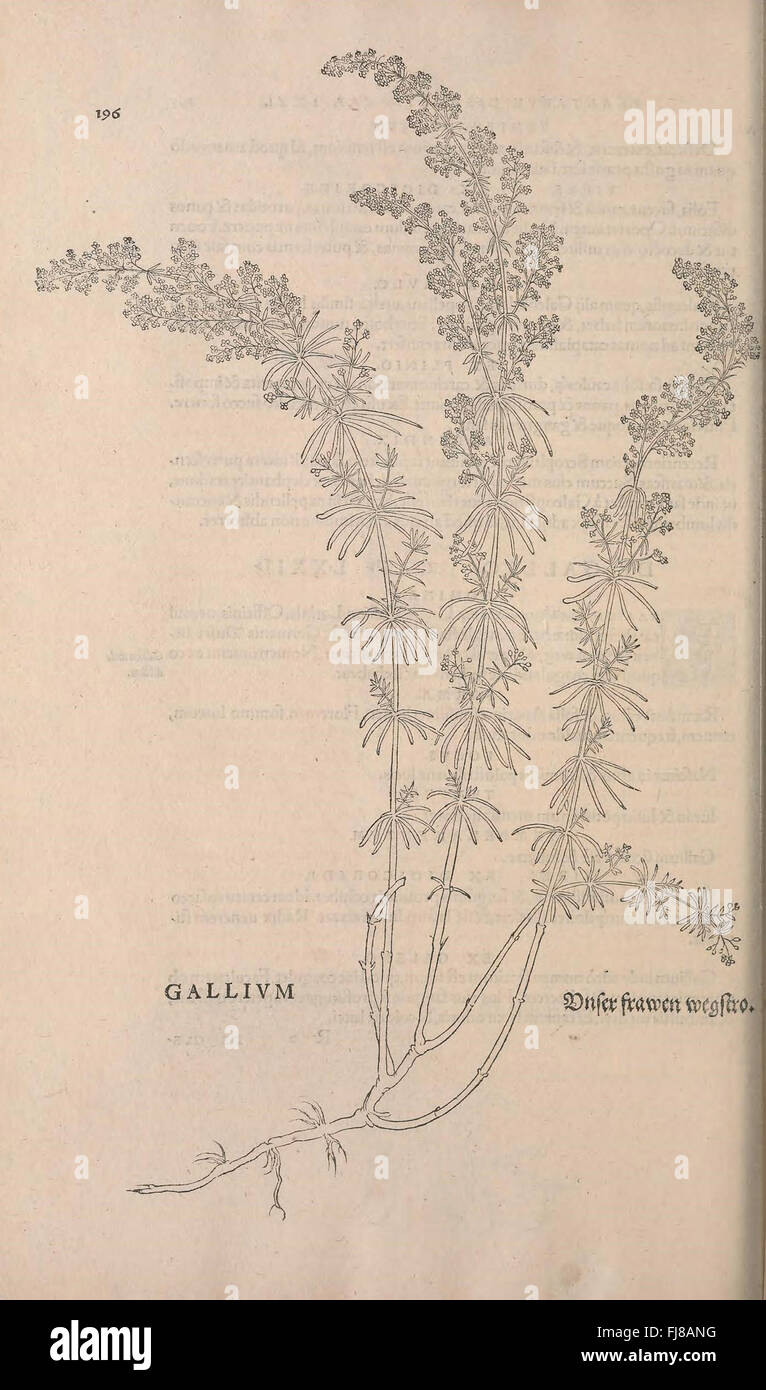 A distinguished commentary on the history of plants, documenting ...