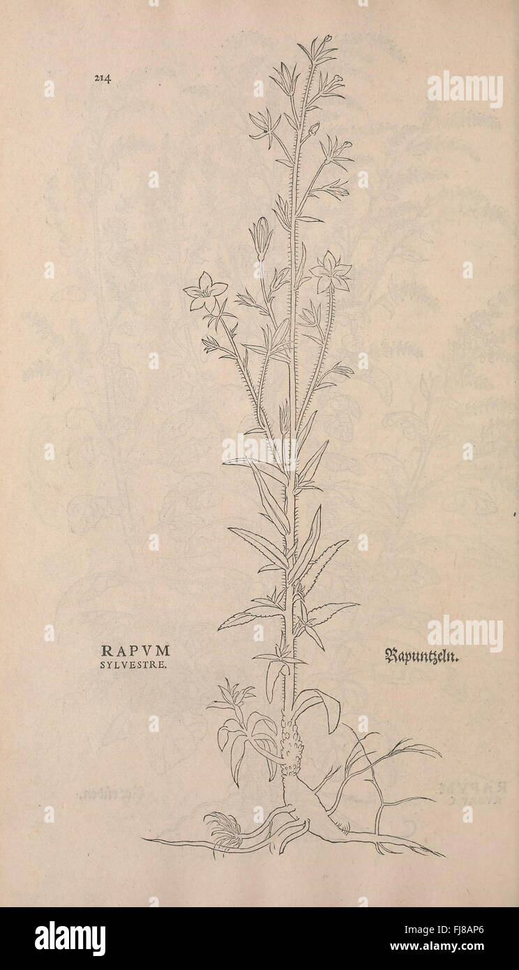 A botanical work on plant history, including medicinal herbs and early ...