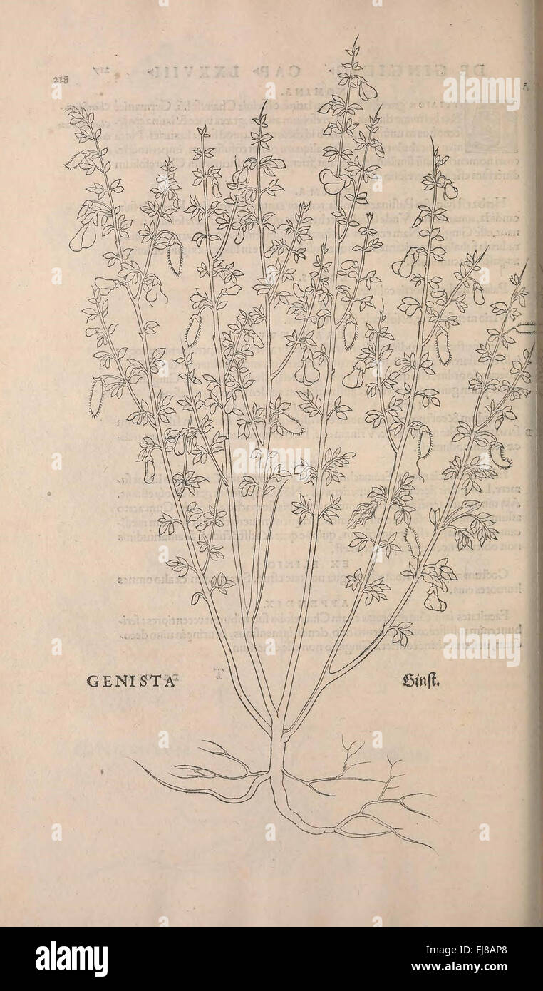 A significant work on the history of plants, focusing on herbals, early ...