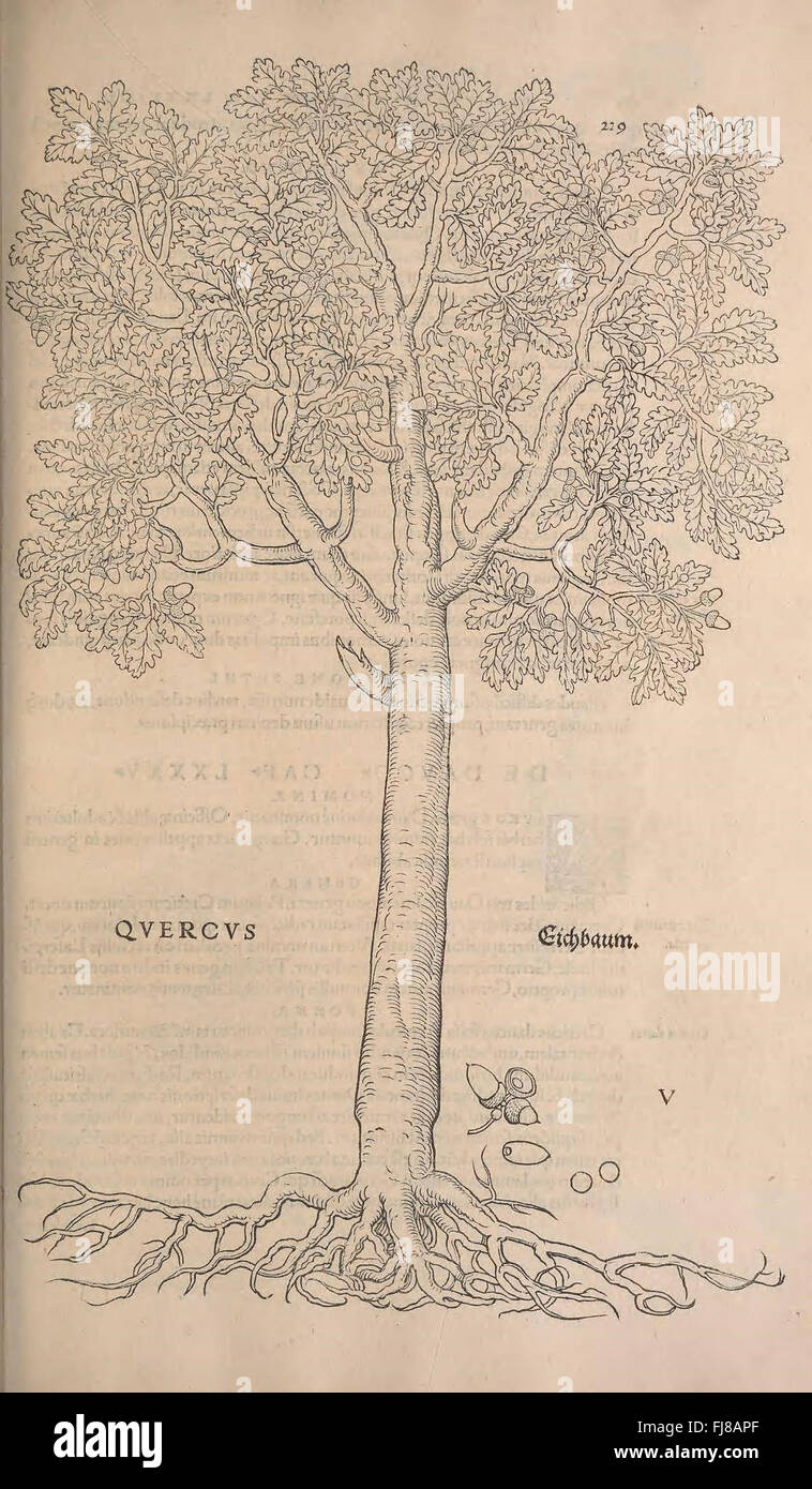 A significant commentary on the history of plants, focusing on herbals ...