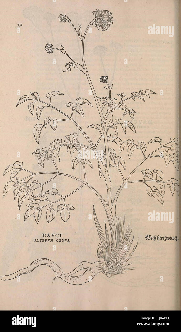 A famous botanical work detailing the history of plant species ...