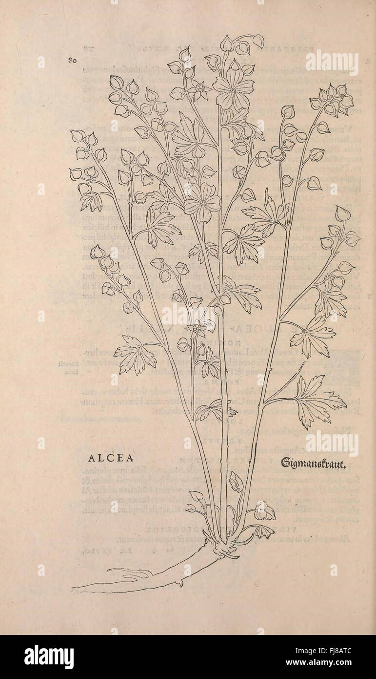 Botanical commentary on the history of plants, including medicinal uses ...