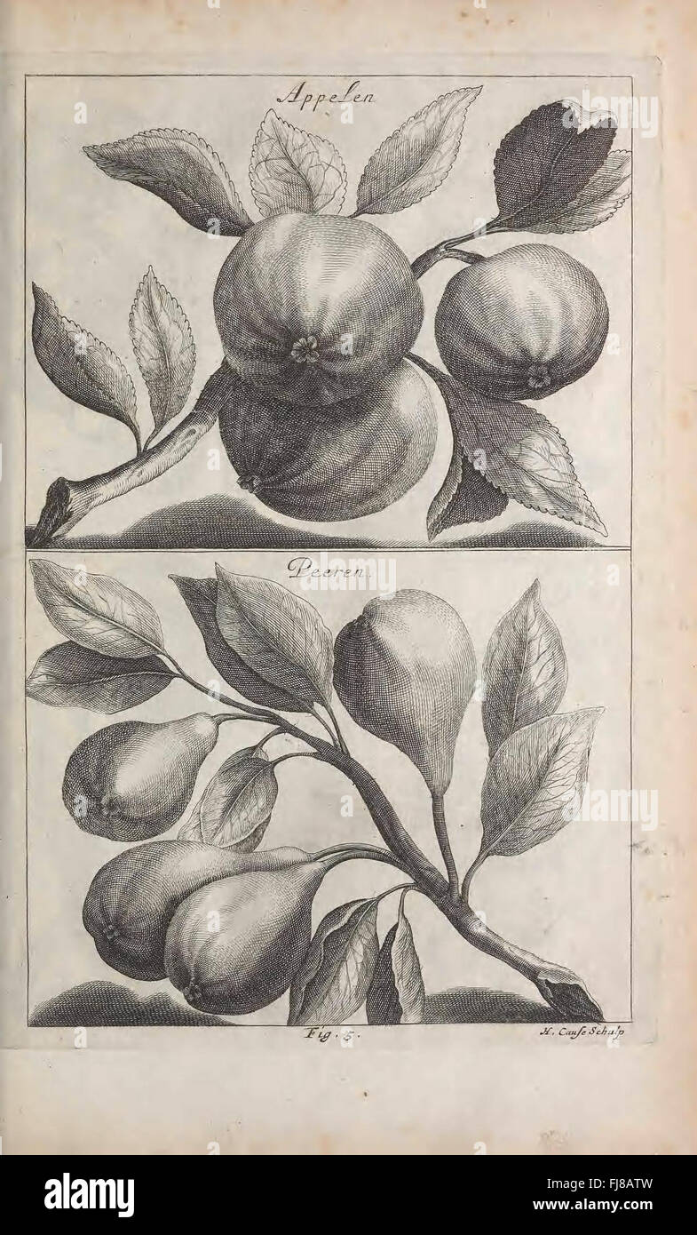 A horticultural guide outlining methods for cultivating trees Stock ...