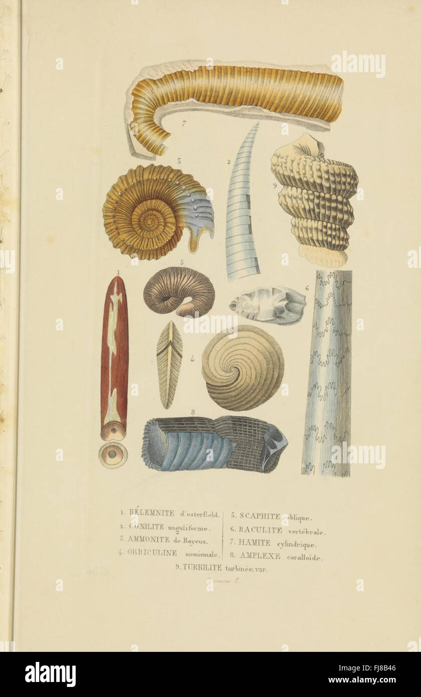 A classical dictionary of natural sciences, providing comprehensive ...