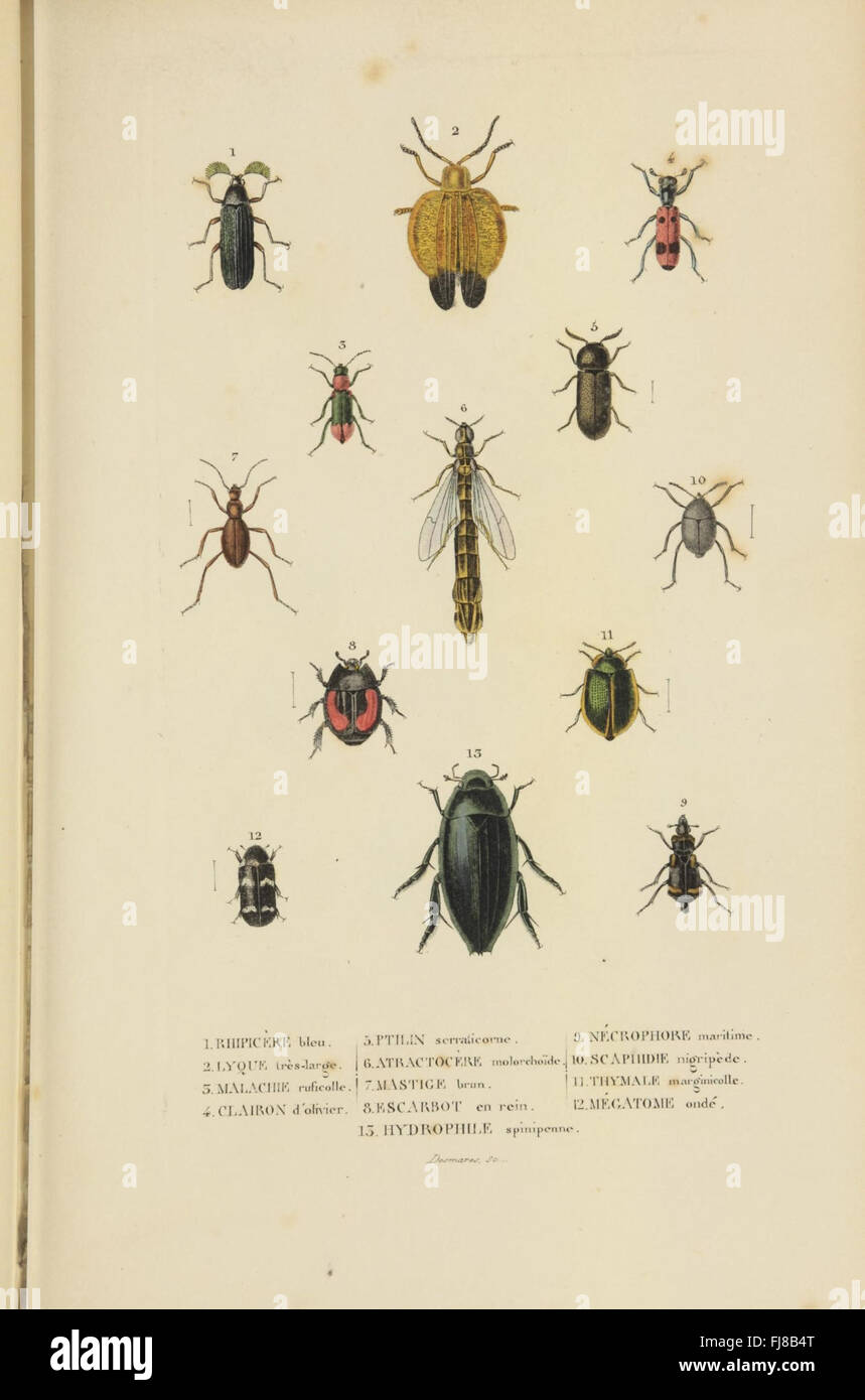 This *Classical Dictionary of Natural Sciences* provides comprehensive ...