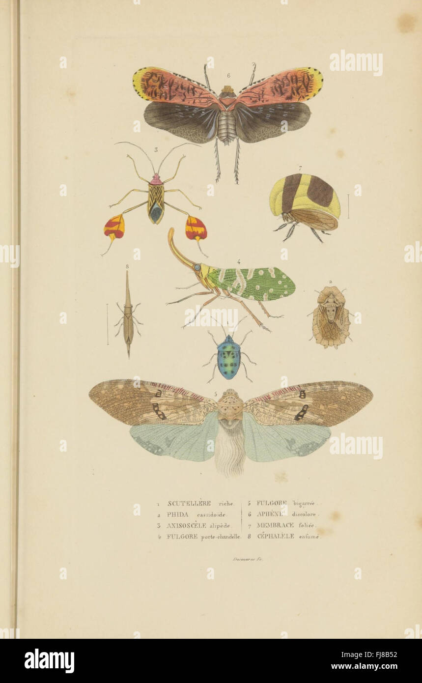 A scientific dictionary covering terminology, concepts, and discoveries ...