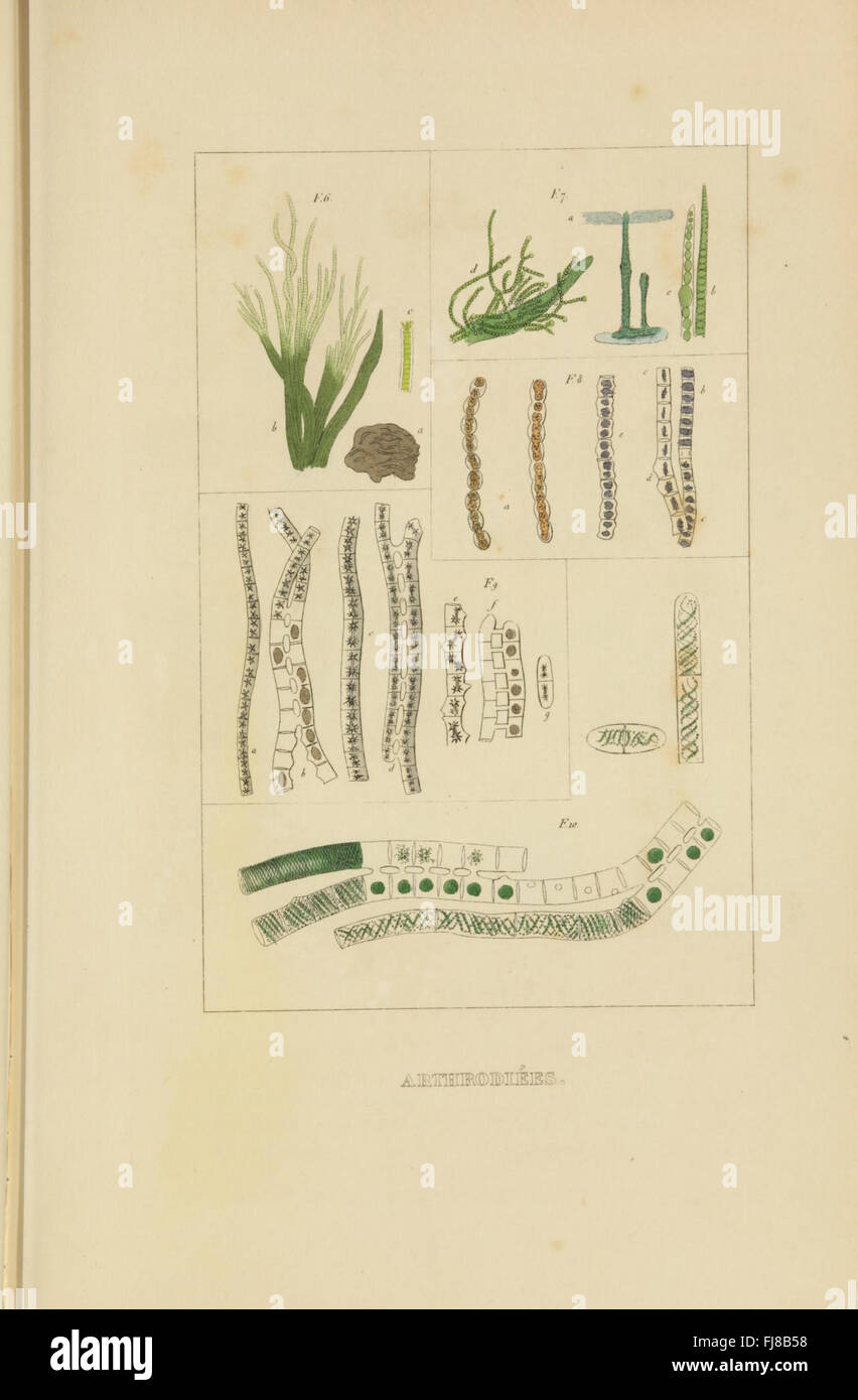 A classic dictionary of natural sciences, providing definitions and ...