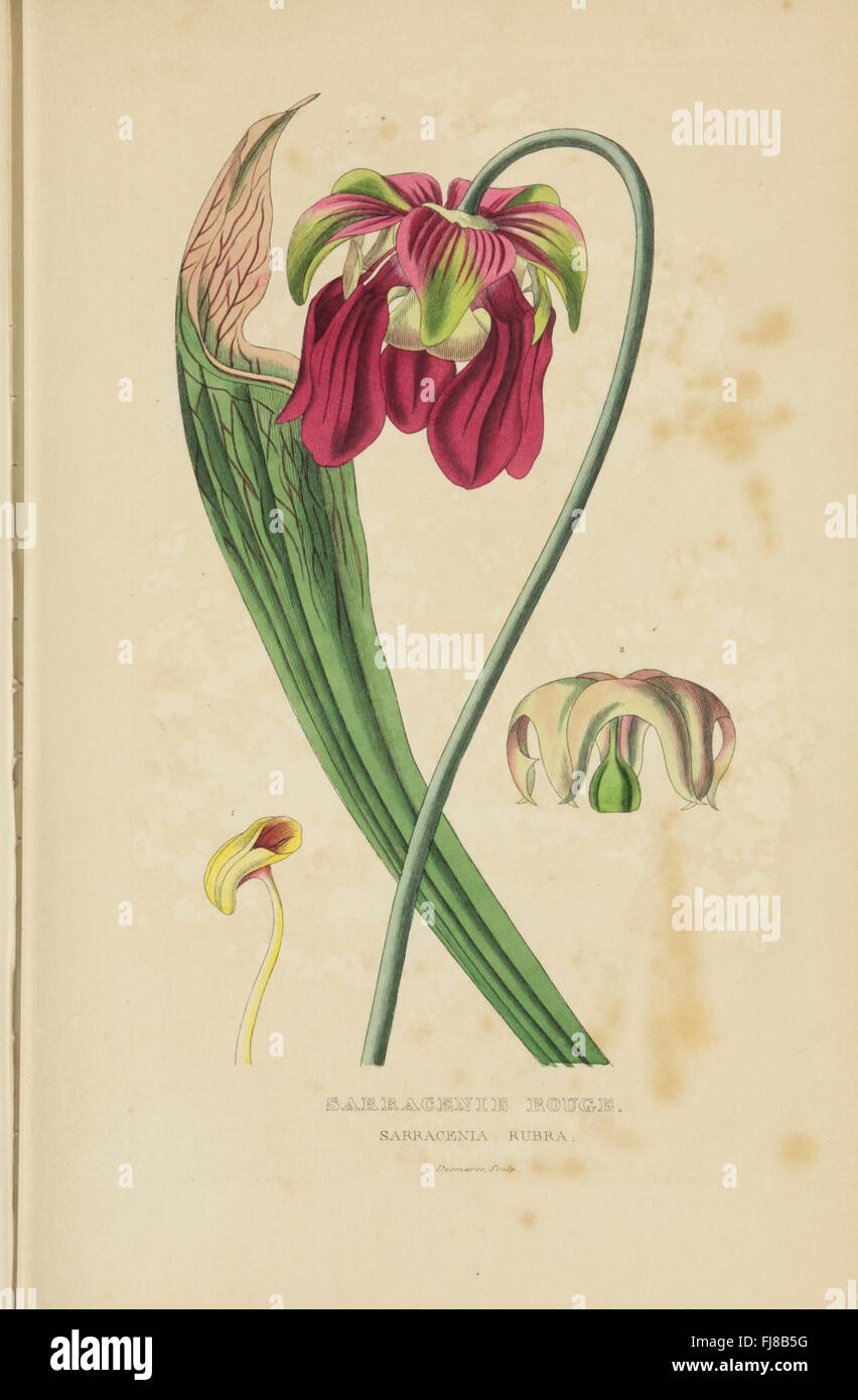 A classical dictionary of natural sciences, covering a wide range of ...