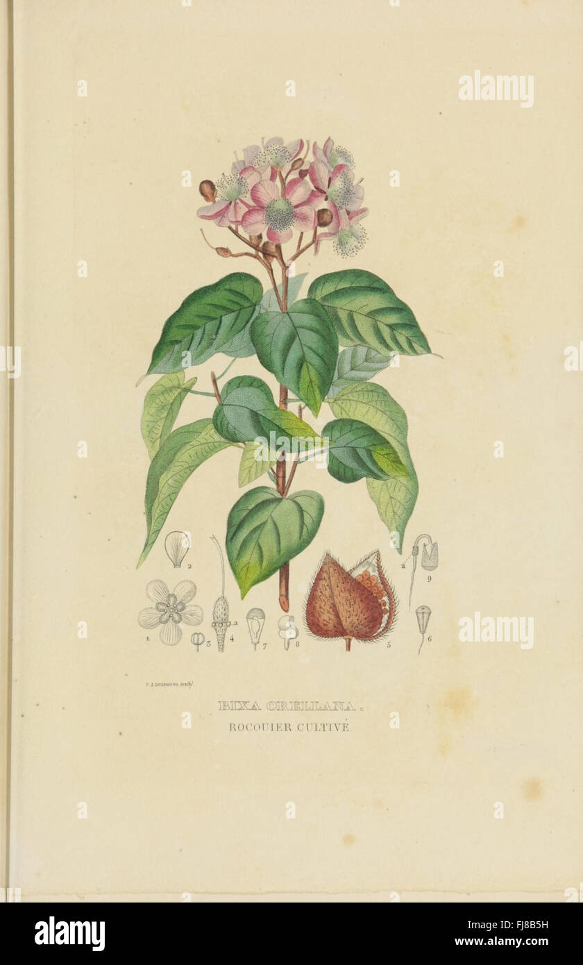 A classic dictionary of natural sciences, covering a wide range of ...