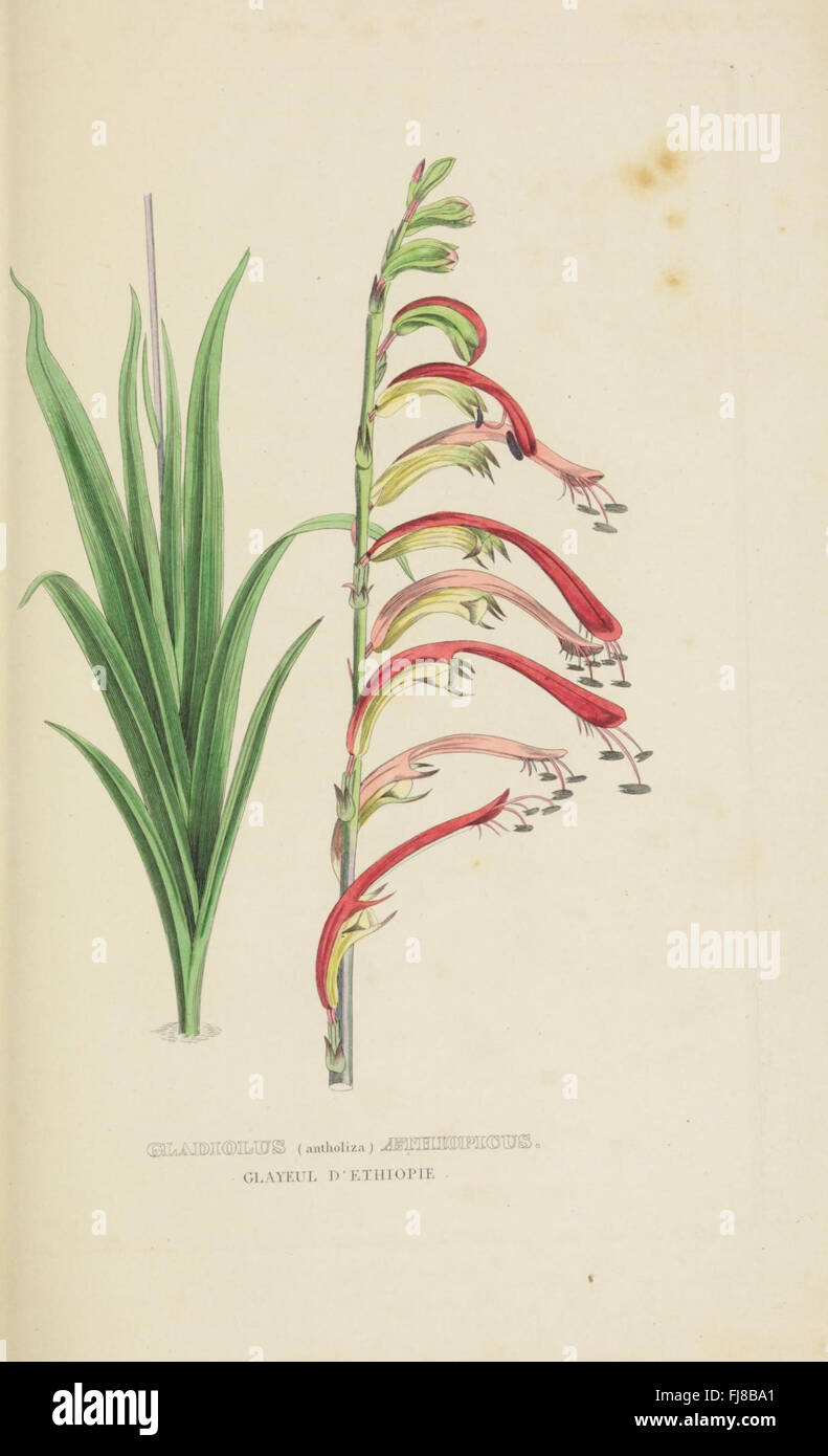 A classical dictionary of natural sciences, offering detailed ...