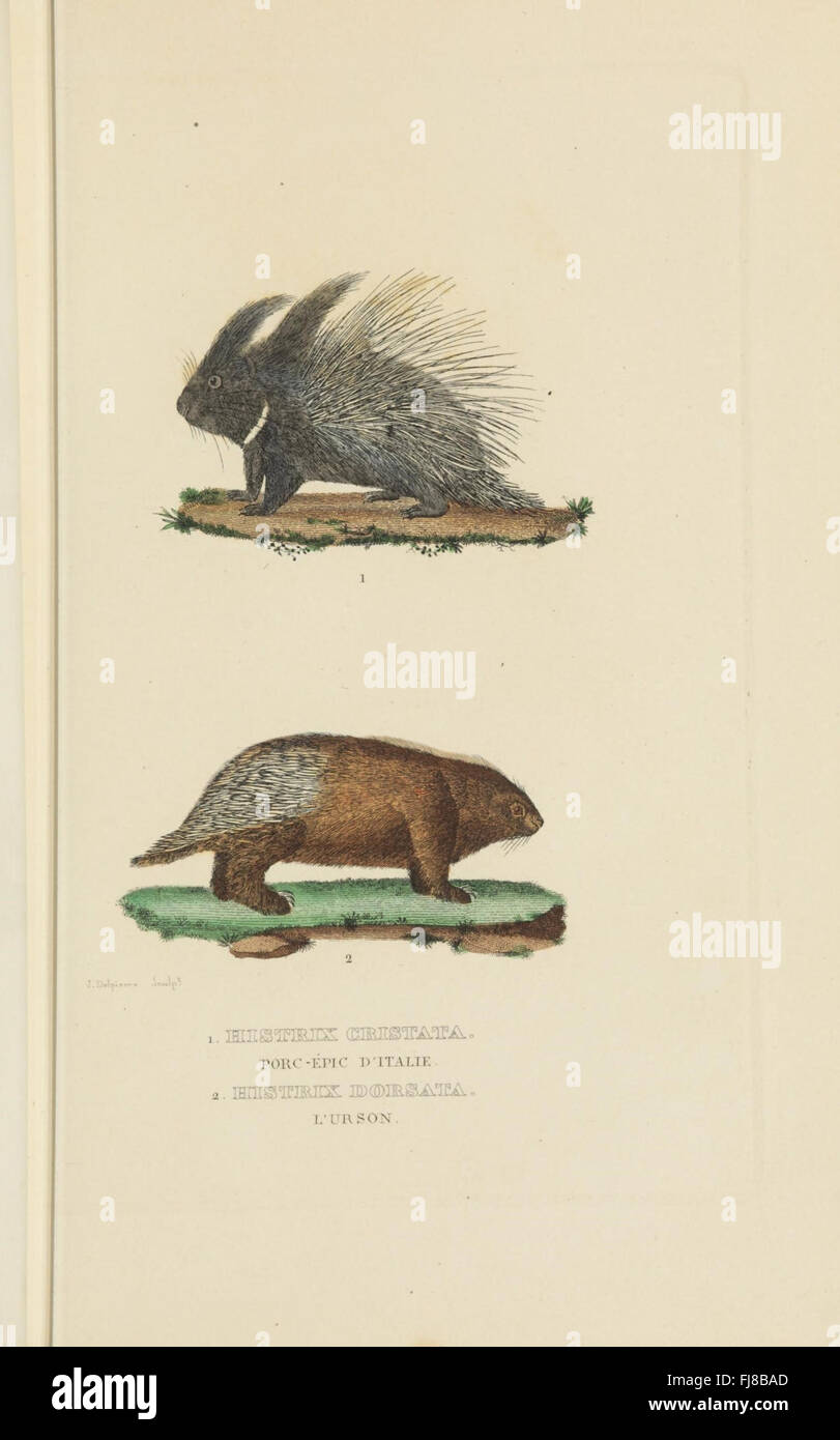 A classic dictionary of natural sciences, providing definitions and ...