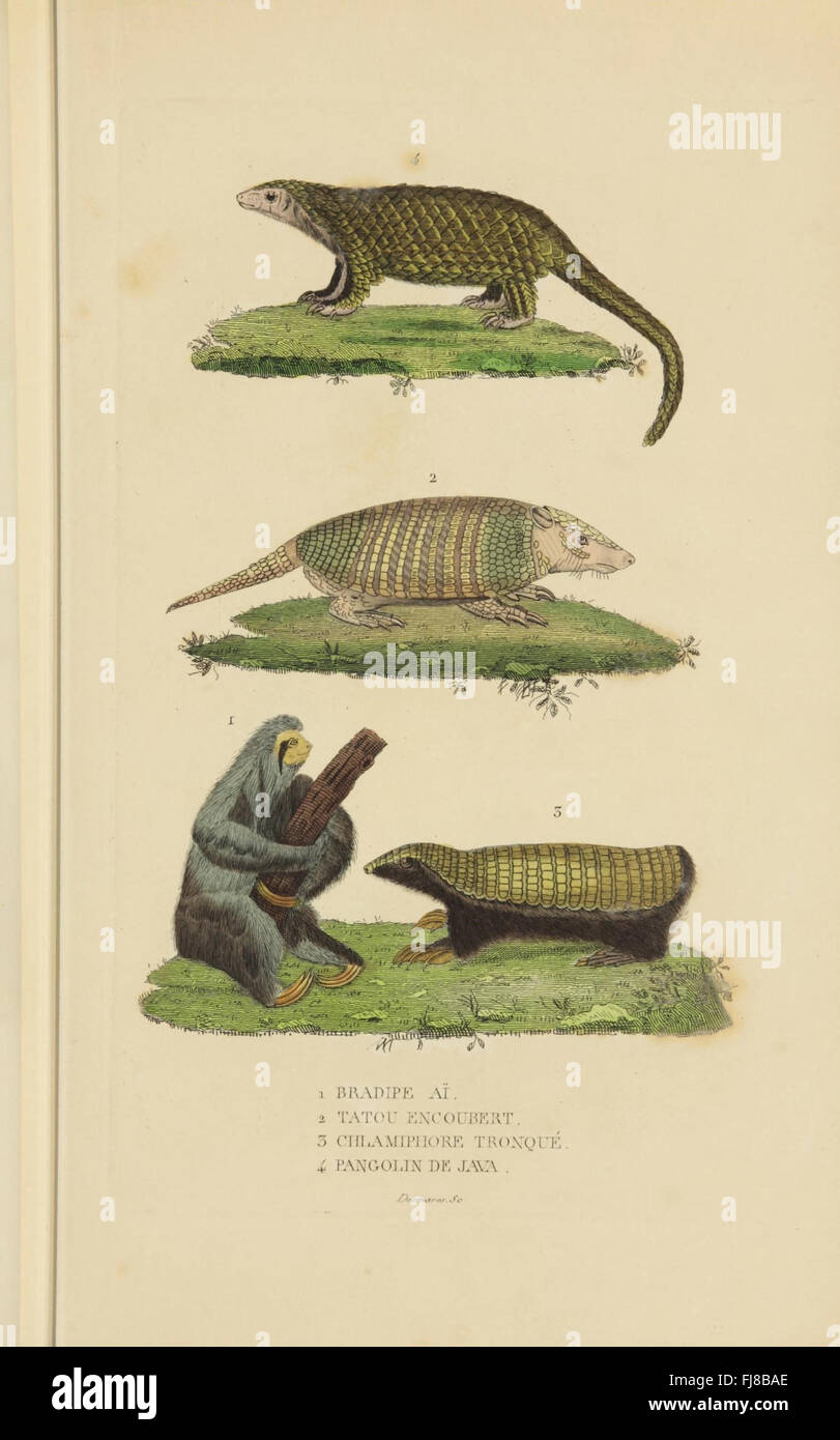 This dictionary provides essential definitions and explanations for ...