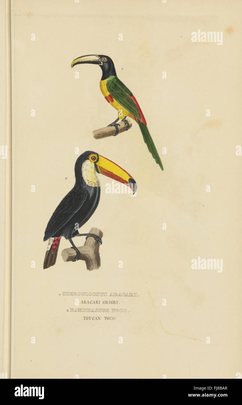 A classic dictionary of natural sciences, providing detailed ...