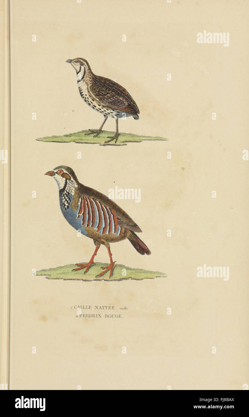 A classical dictionary of natural sciences, compiling knowledge in ...