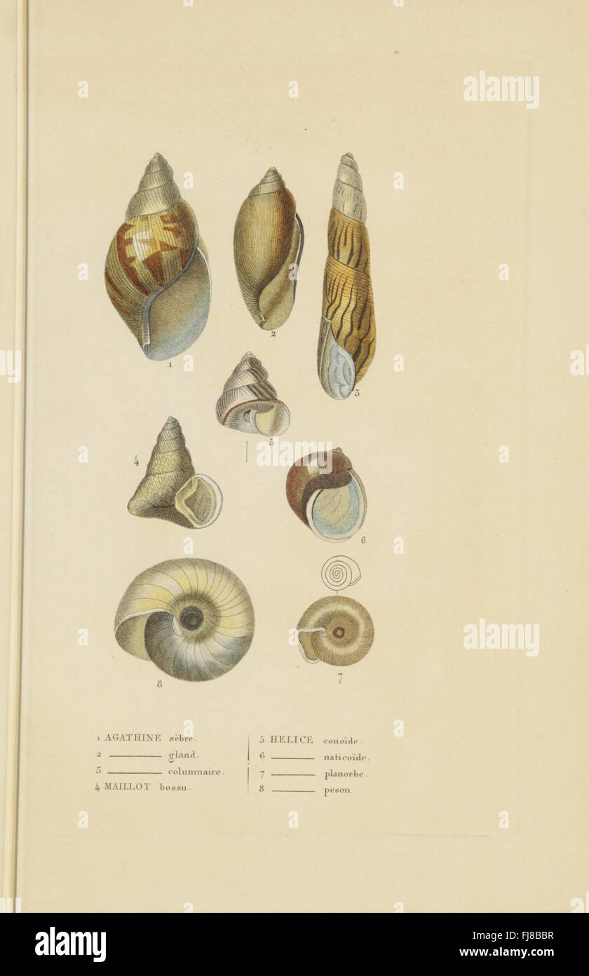 Various geological terms hi-res stock photography and images - Alamy
